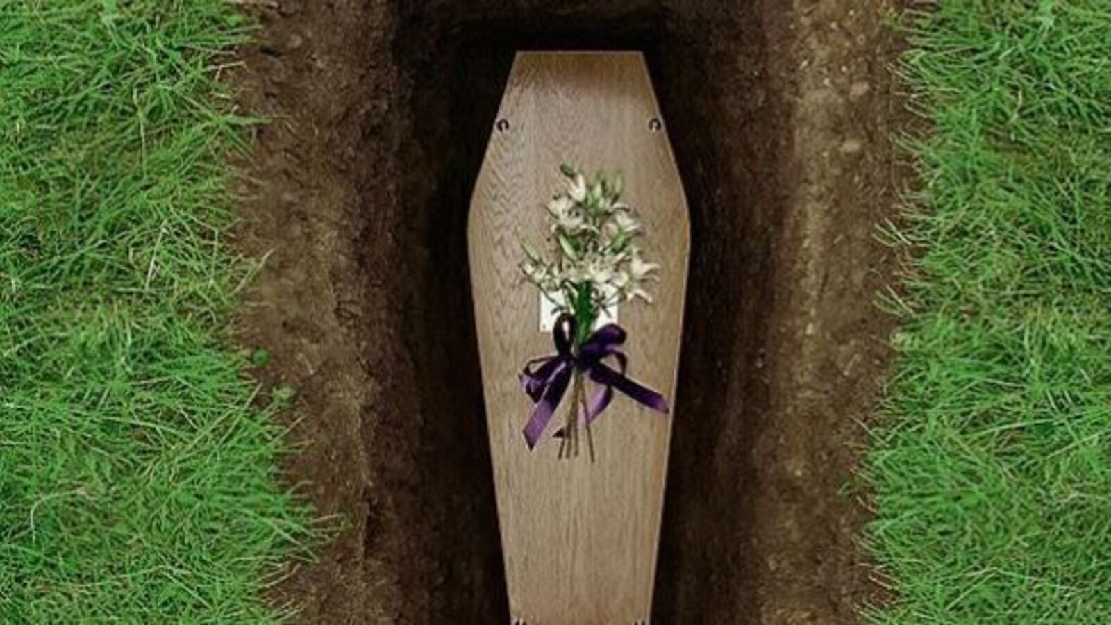 Pet Burial Vijayawada - Pet Cremation Vijayawada